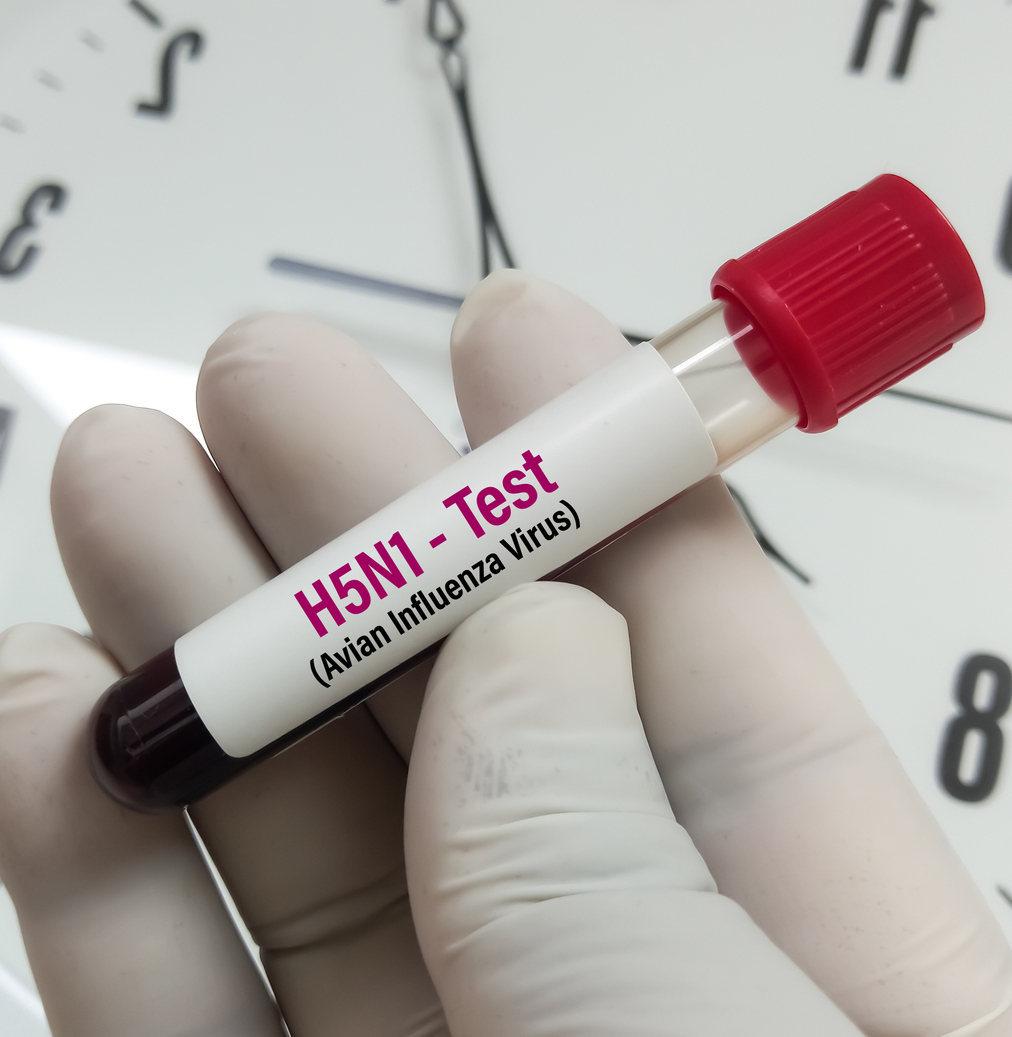 Highly Pathogenic Avian Influenza A (H5N1) Virus Infection Reported in ...