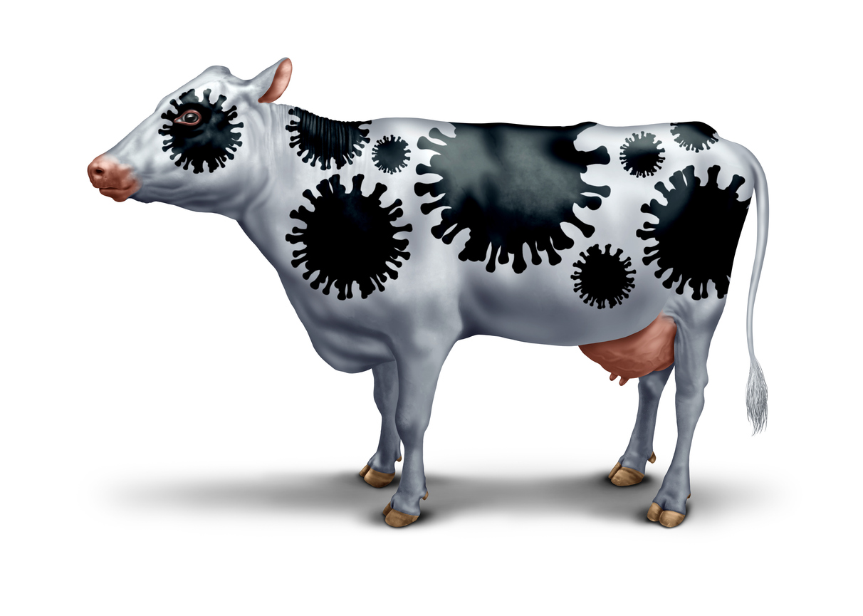 CDC Reports Second Human Case of H5 Bird Flu Tied to Dairy Cow Outbreak ...