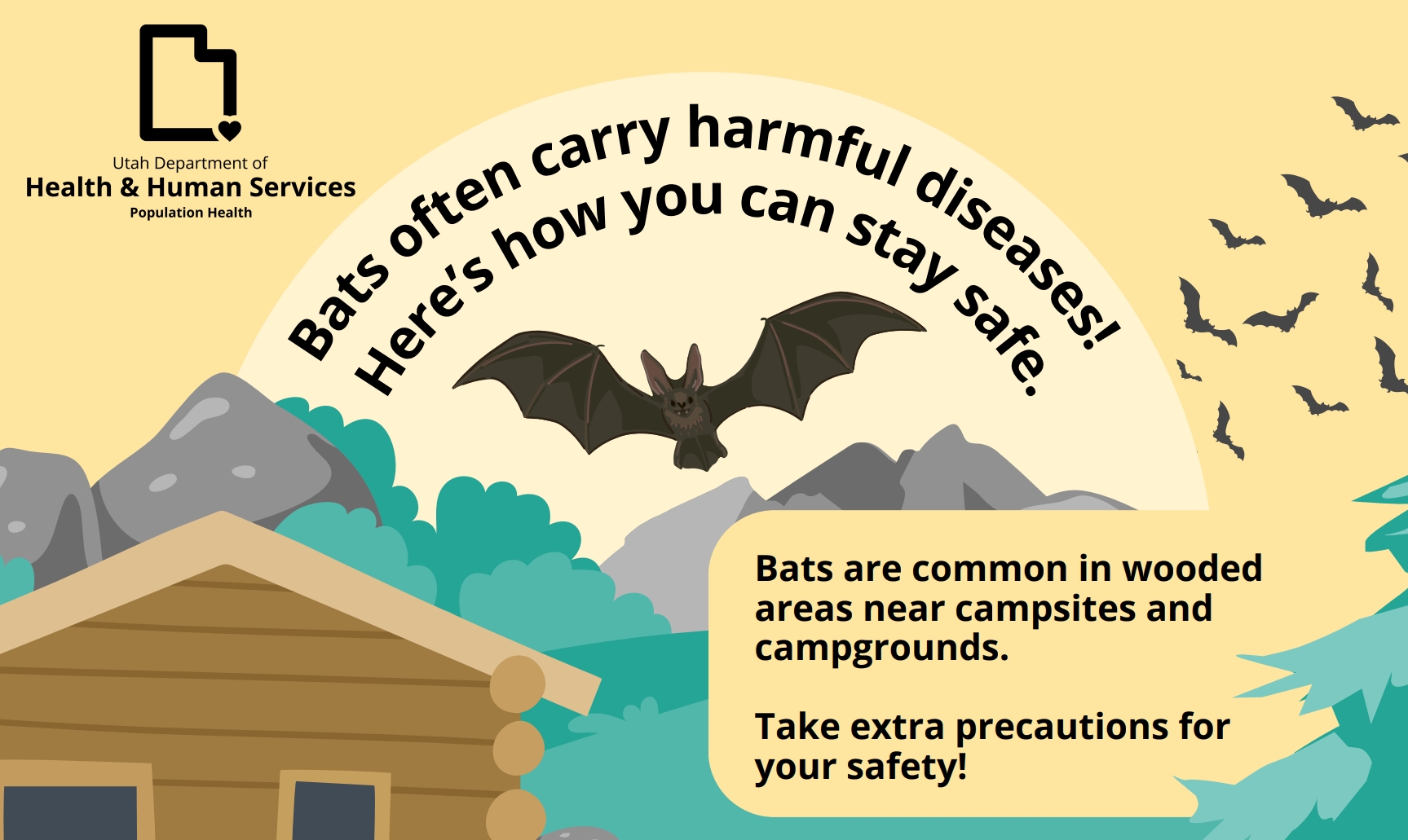 Stay away from bats! | Weber-Morgan Health Department
